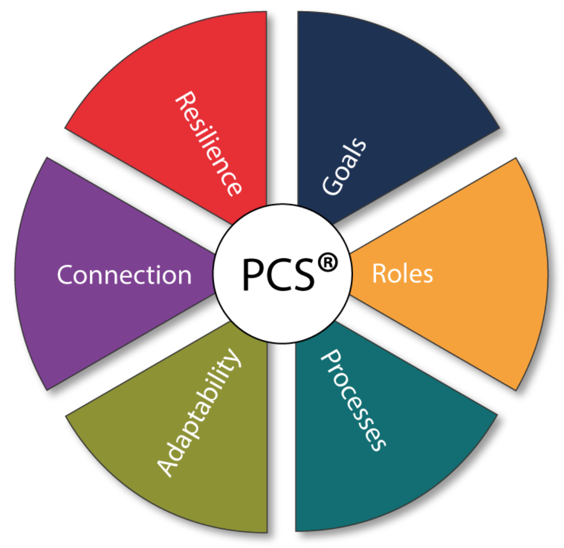 Performance Climate System - Performance Improvement Tool